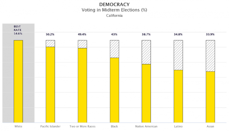 RACE COUNTS - midterm election